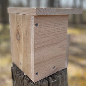Carolina Wren Nest Box - Etsy