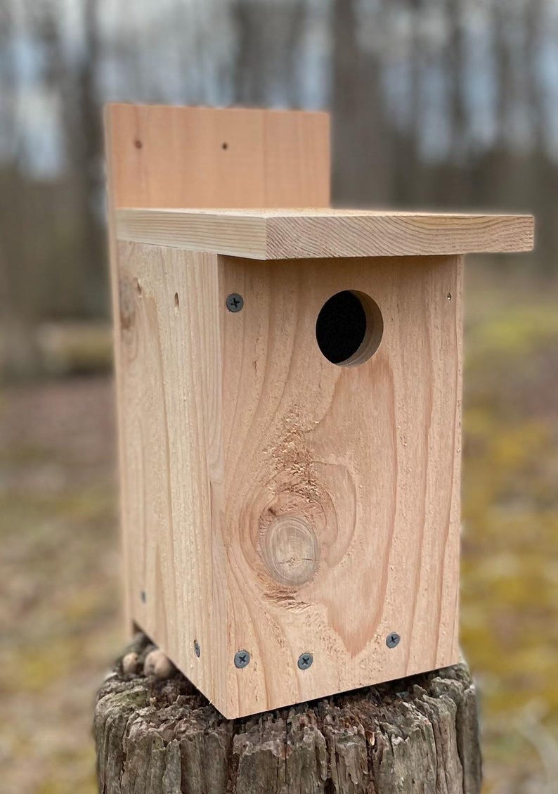 Bluebird & Tree Swallow Birdhouses - Etsy
