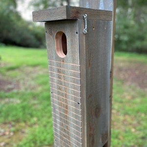Northern Flicker Nest Box - Etsy
