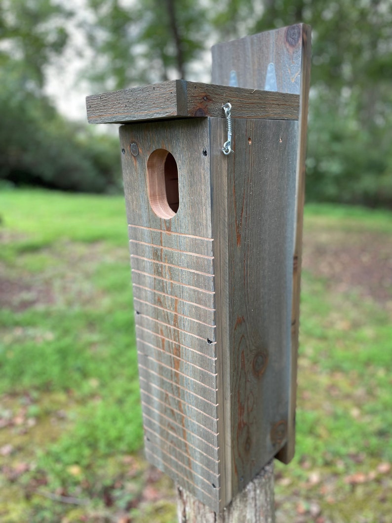 Northern Flicker Nest Box - Etsy