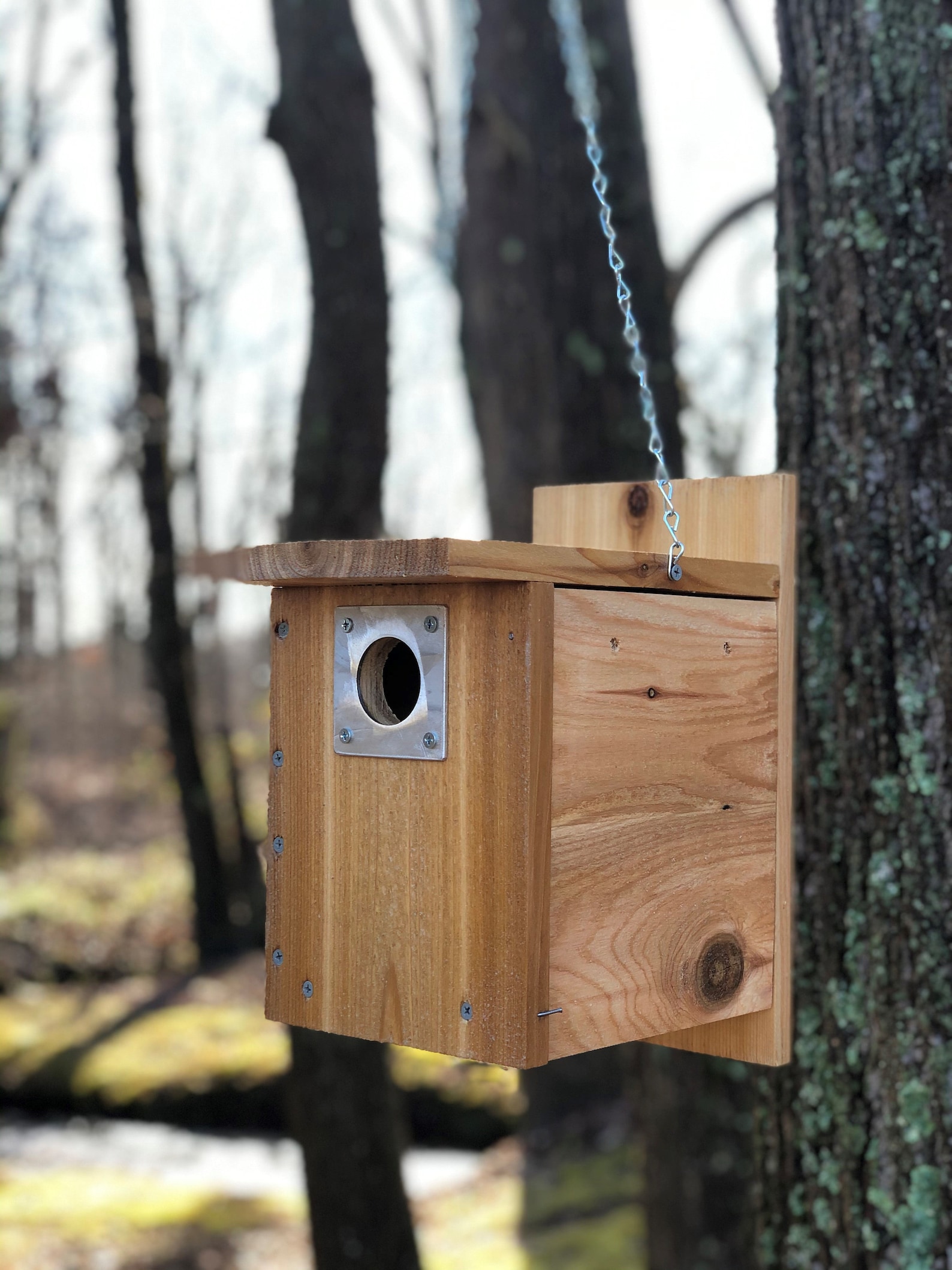 Flycatcher Nest Box - Etsy
