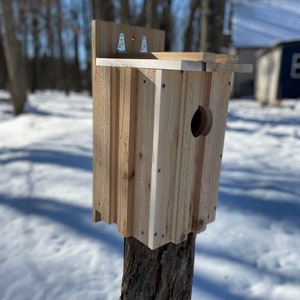 American Kestrel Nest Box - Etsy