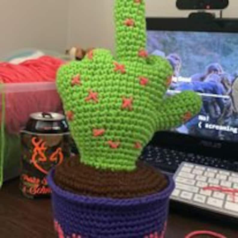 Middle Finger Cactus - Etsy