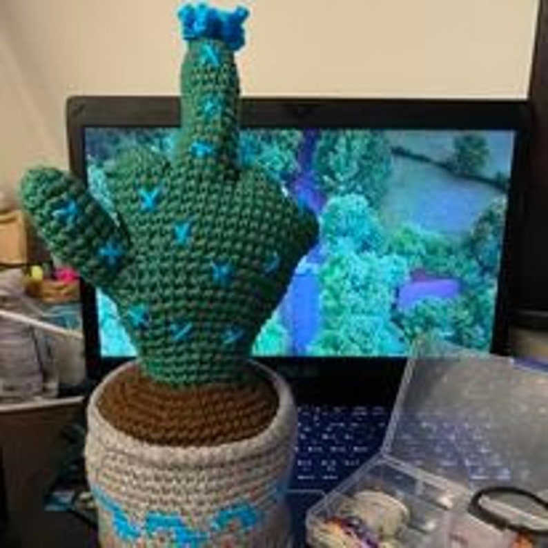 Middle Finger Cactus - Etsy