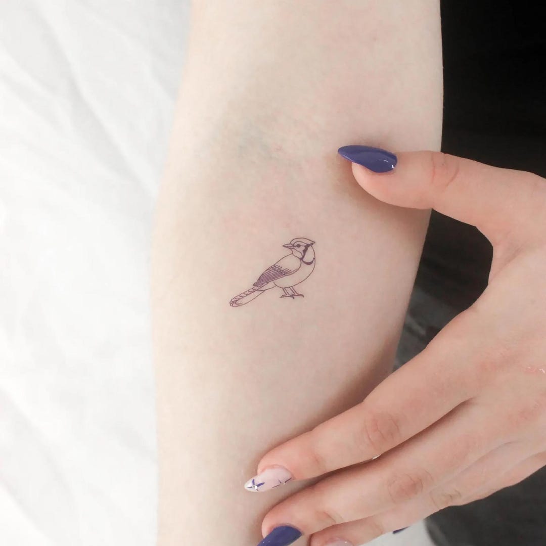 Blue Ink Blue Jay Temporary Tattoo (set of 3) - Etsy