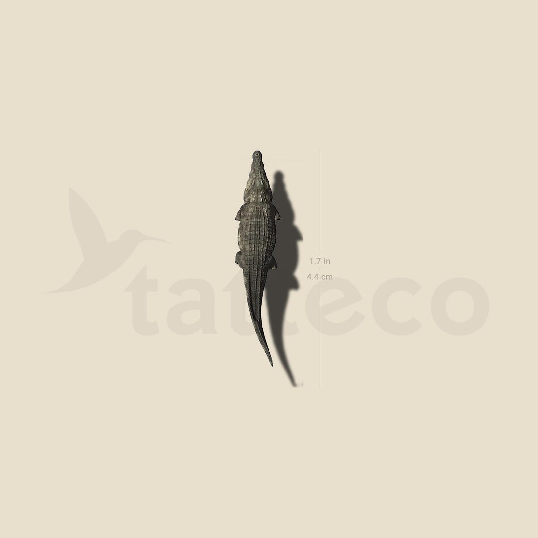 Crocodile and Shadow Temporary Tattoo (set of 3) - Etsy