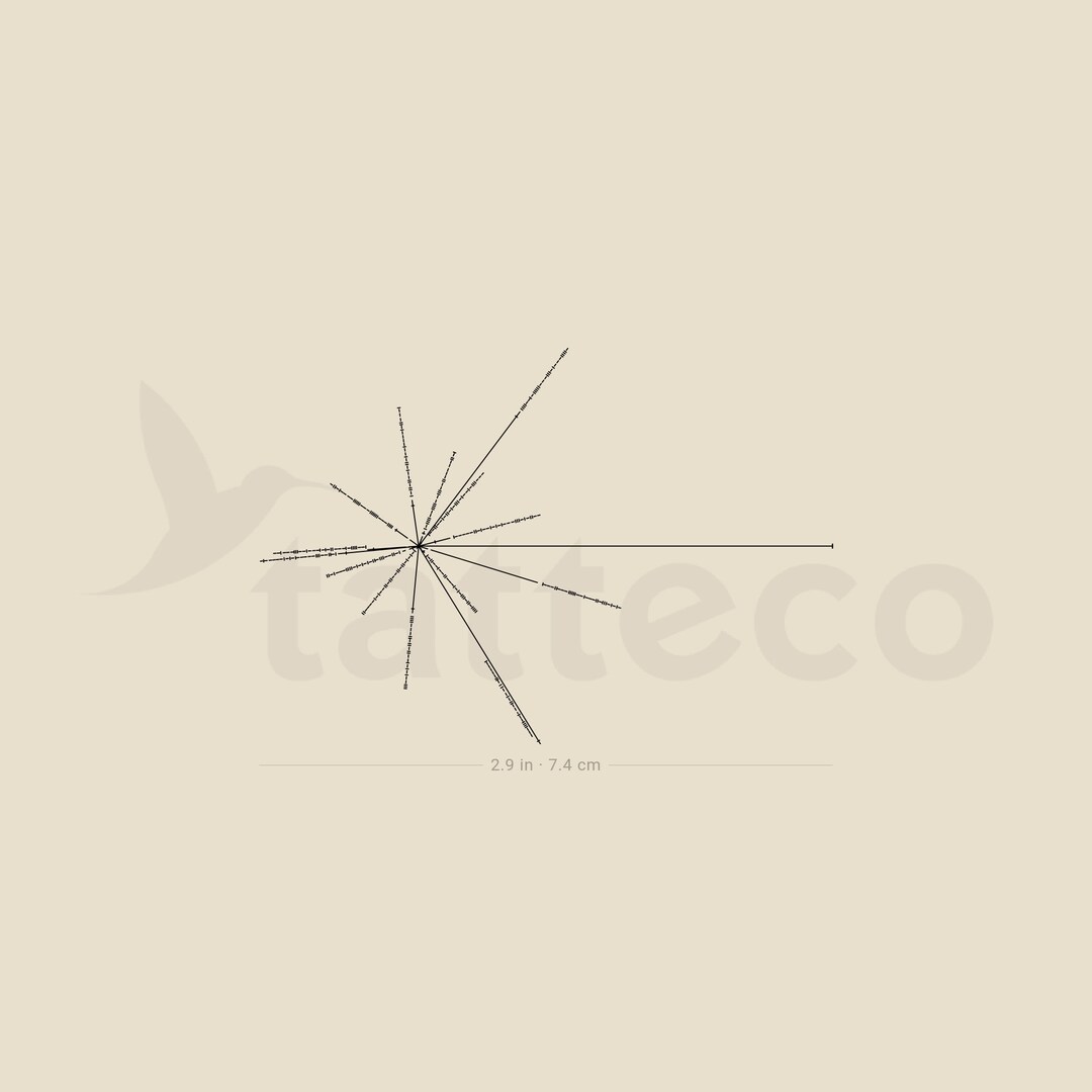 Pioneer Plaque Temporary Tattoo set of 3 - Etsy
