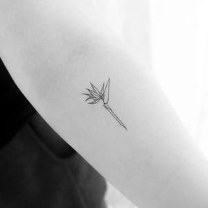 Fine Line Bird of Paradise Temporary Tattoo (set of 3) - Etsy