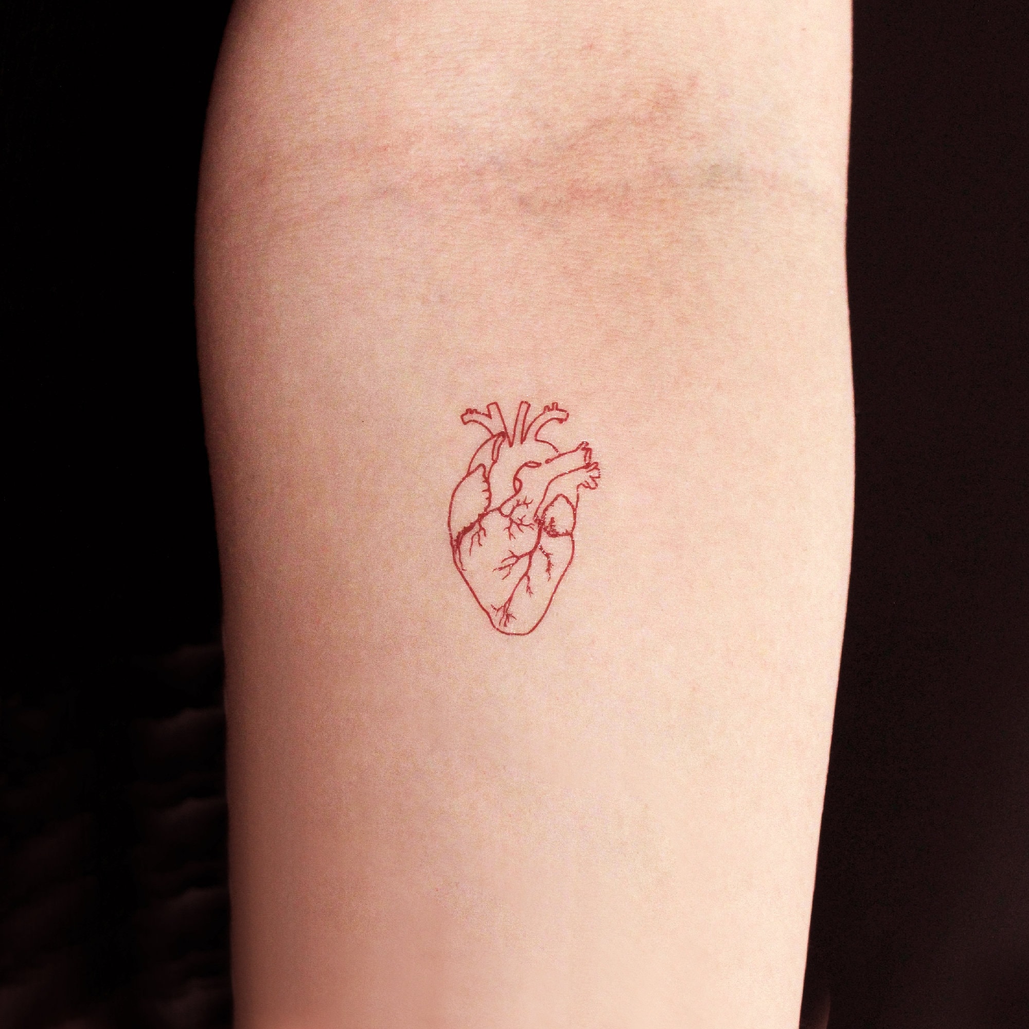 Human Heart Tattoo Bea Miller Anatomical Heart, Brain Upper Arm Tattoo
