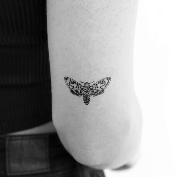 Moth Tattoo - Etsy