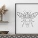 Bee One Line Art Bumble Bee Line Drawing Bee Motive Art - Etsy