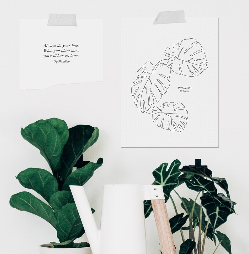 Line Art Monstera Leaves Monstera Deliciosa Drawing | Etsy