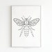 Bee One Line Art Bumble Bee Line Drawing Bee Motive Art - Etsy