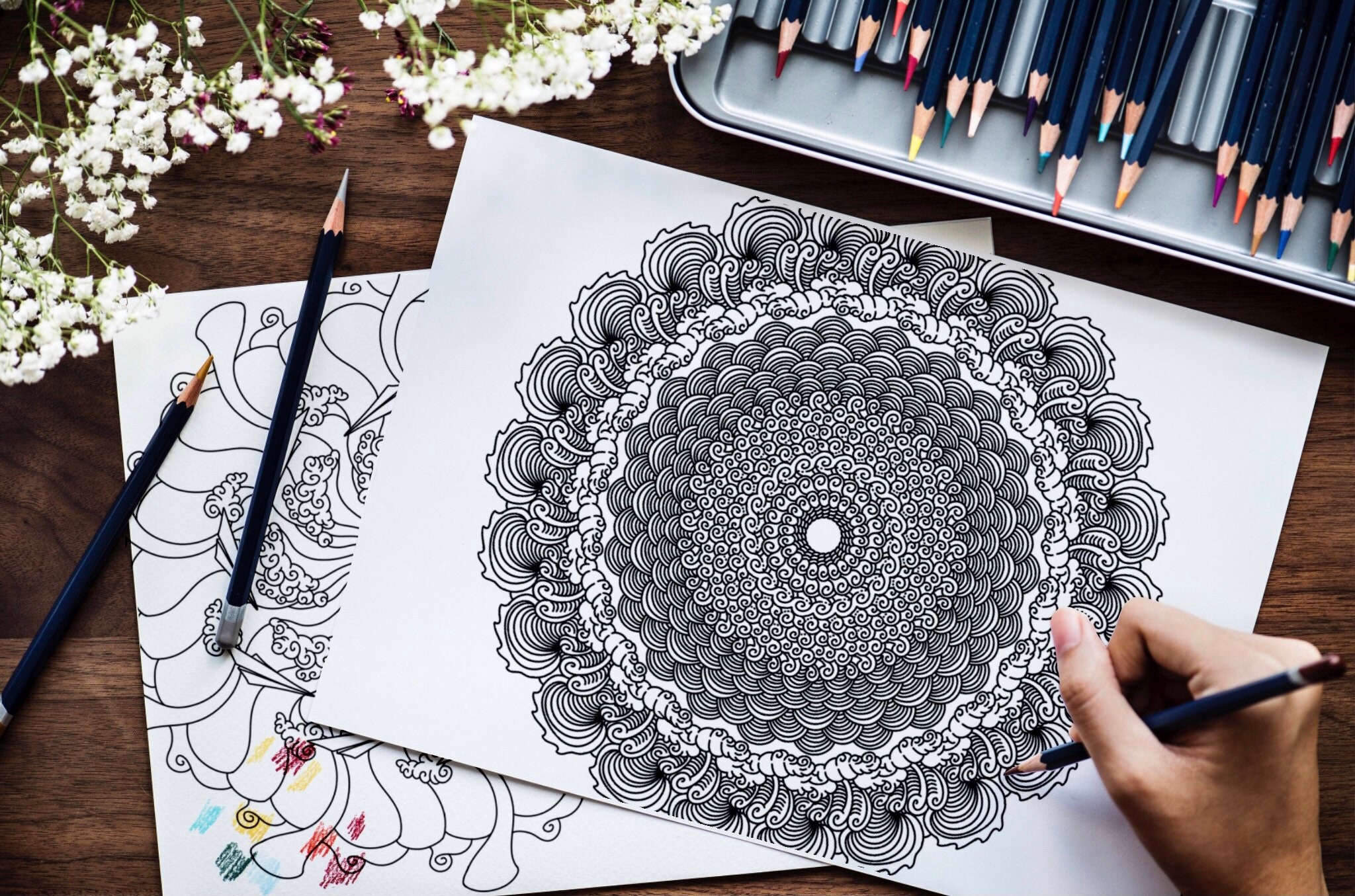 50 PAGES Adult Coloring Pages | Original Intricate Mandala and Patterns ...