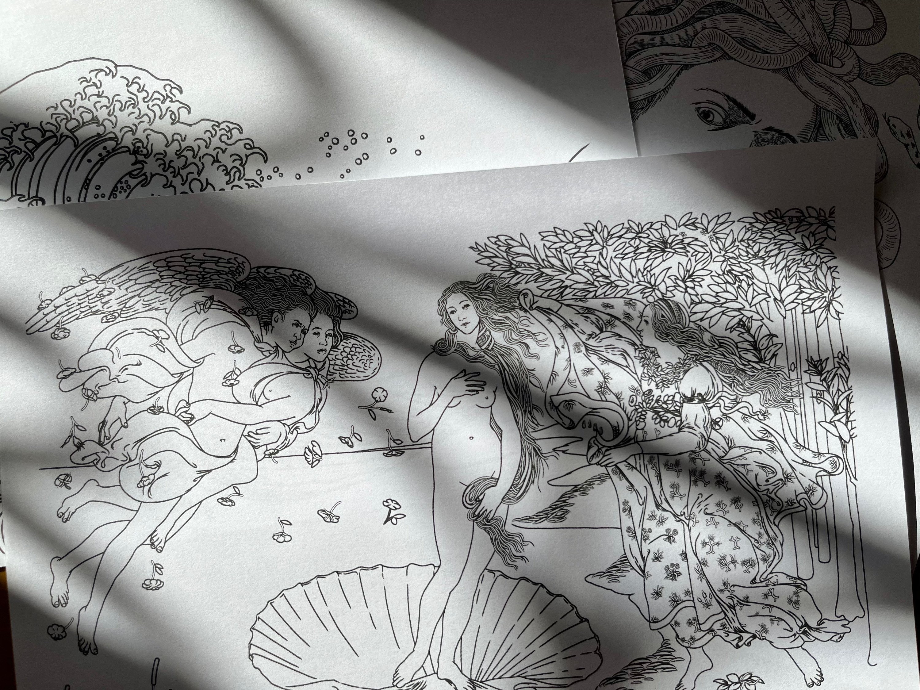 The Birth of Venus Coloring Detailed Hand Drawn Botticelli , Adult ...