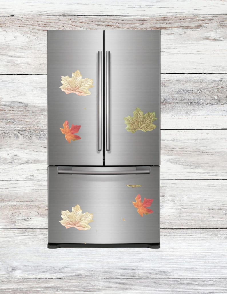 Fall Leaves Magnets, Set of 8, Colorful Leaves, Leaf Magnet, Autumn ...