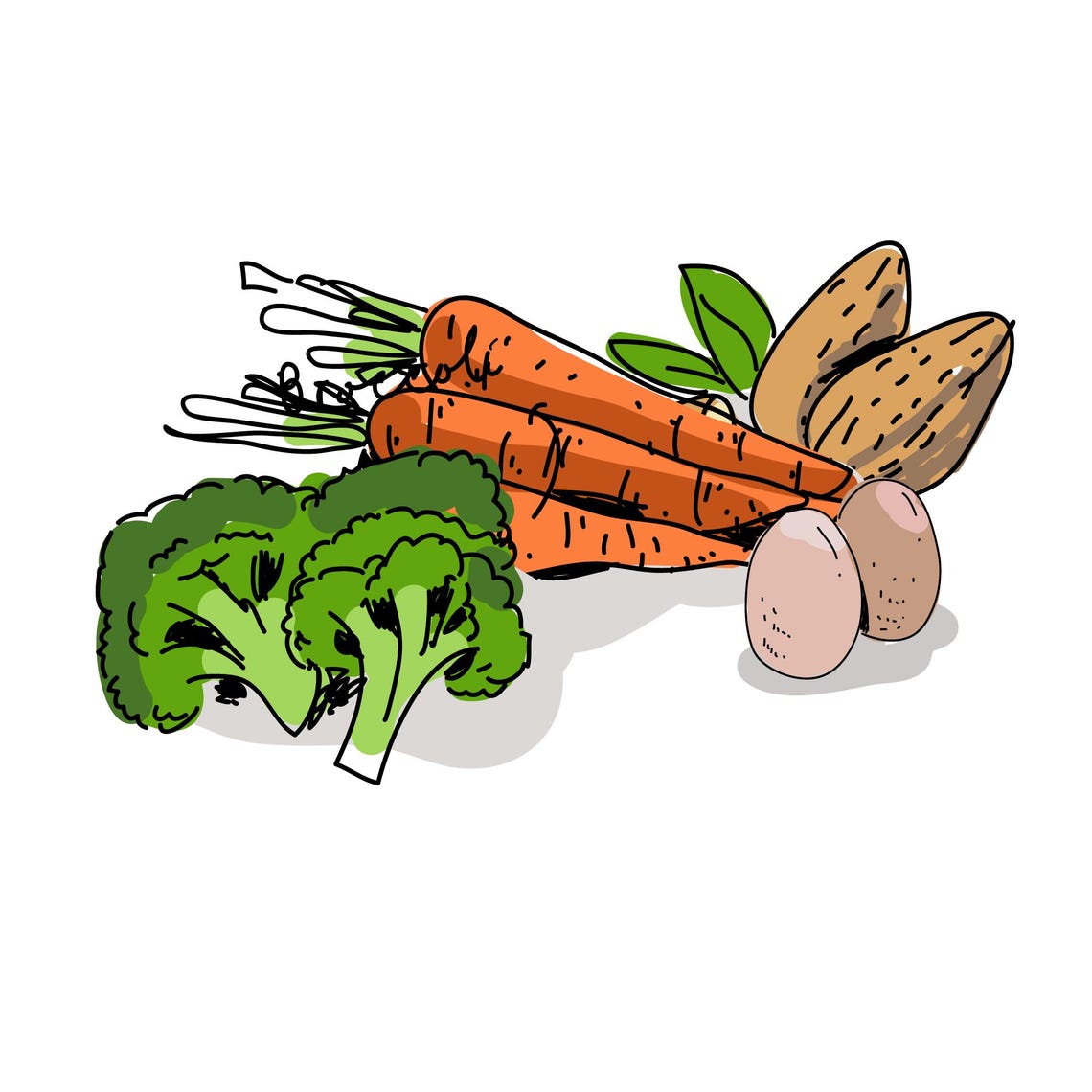 70 Vegetable, SVG, PNG, AI, Eps, Illustrations, Lettuce, Celery ...