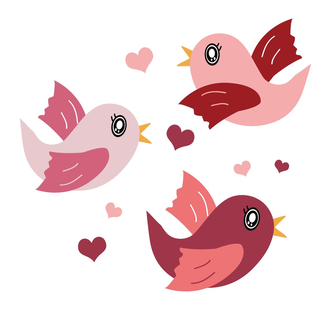 63 Cartoon Bird, SVG, PNG, AI, Eps, Illustrations, Stand, Fly, Sing - Etsy