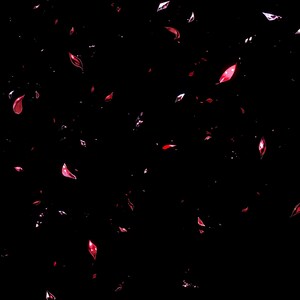 46 Broken Rose, SVG, PNG, AI, Eps, Psd, Illustrations, Crystal, Romance ...