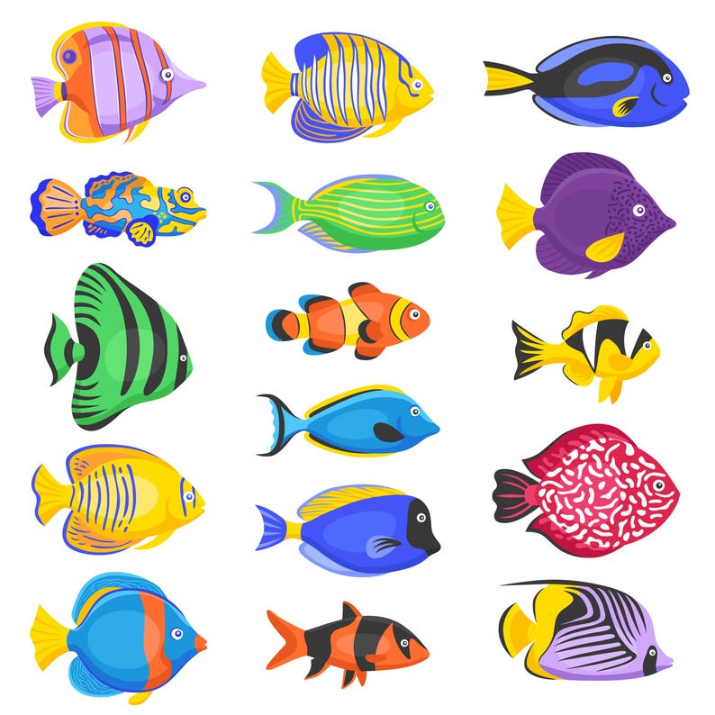 118 Small Fish, SVG, PNG, AI, Eps, Illustrations, Stripes, Spots ...