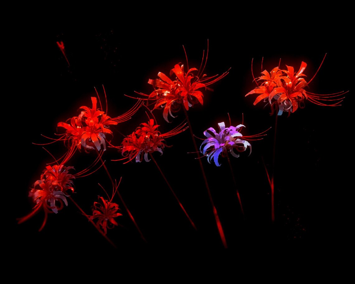 83 Lycoris Radiata, SVG, PNG, AI, Eps, Psd, Illustrations, Red Spider ...