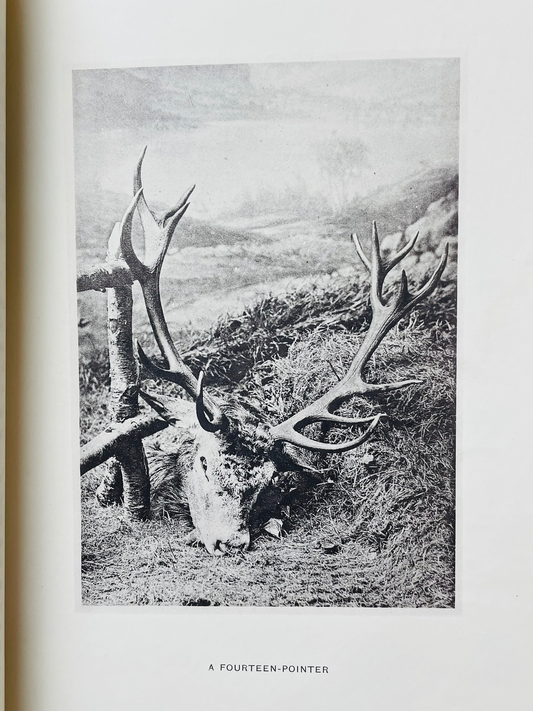 Vintage Deer Hunting Book Gift for Whitetail Deer Hunter 1886 Deer ...