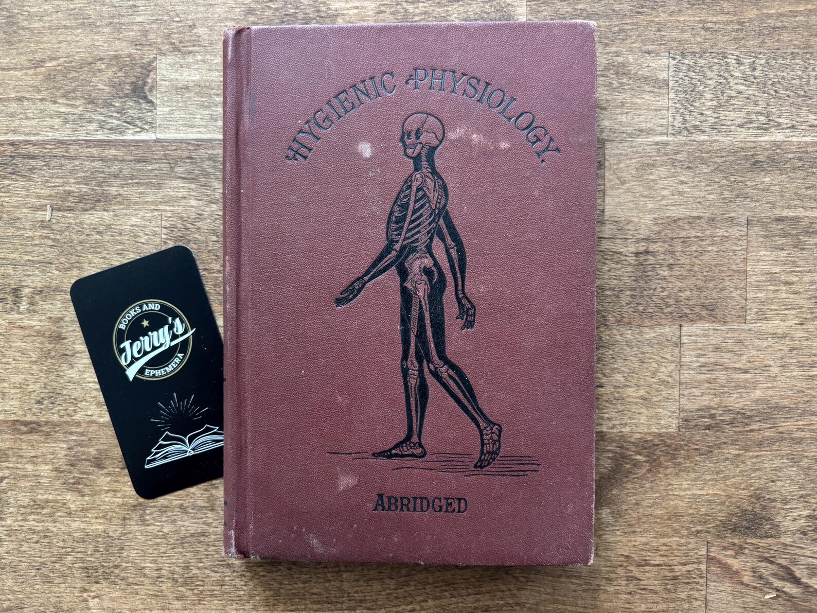 Vintage Creepy Spooky Halloween Decor Skeleton Book 1884 Hygienic ...