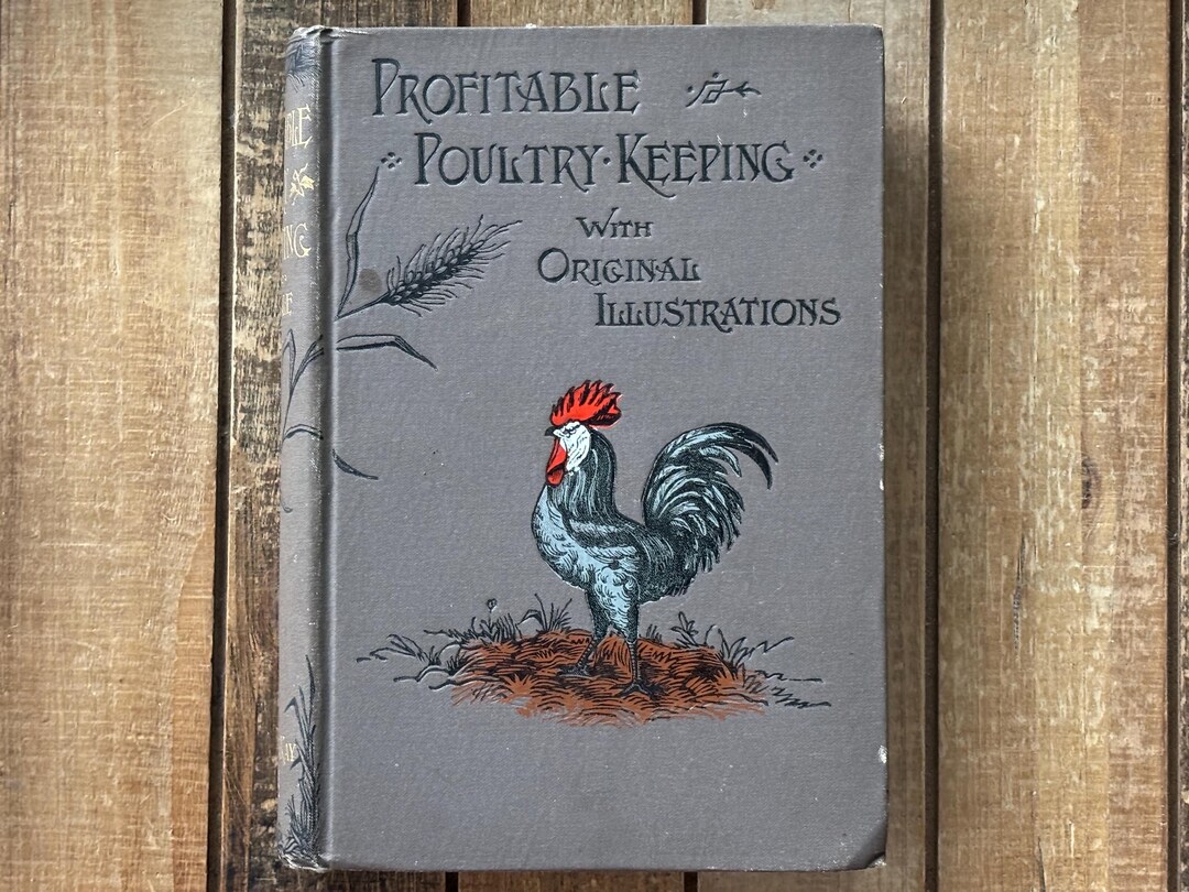 Vintage Farming Illustrated How to Guide Book of Raising Poultry ...