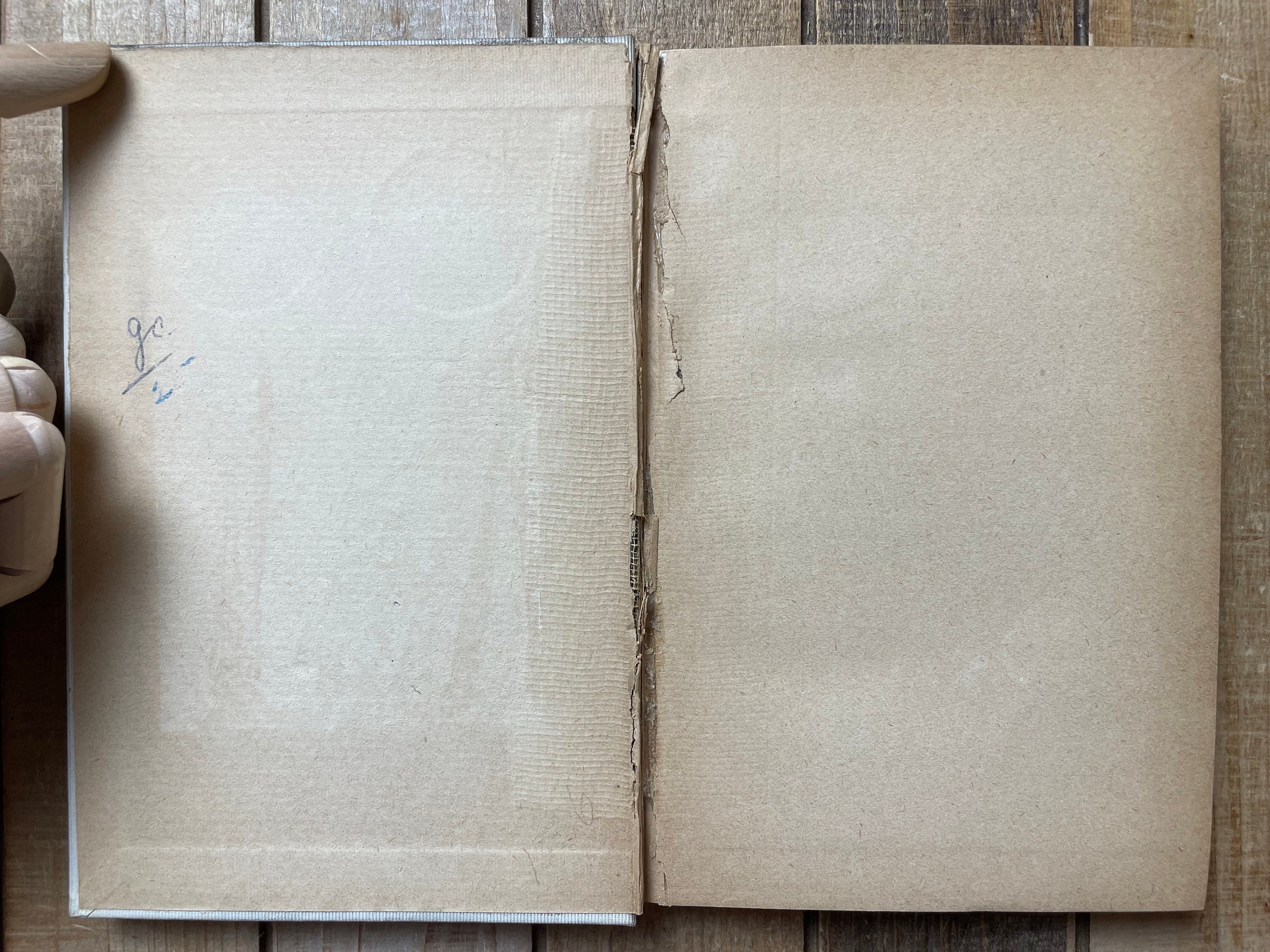 1902 the Zancigs New Complete Palmistry Vintage Cheiromancy Occult Book ...