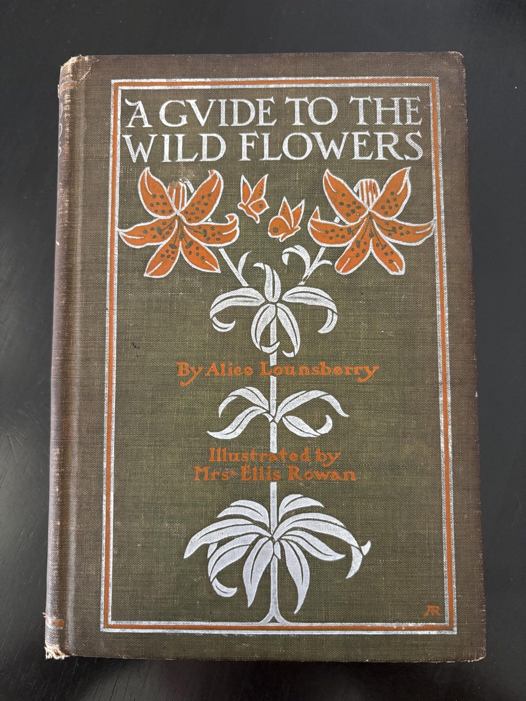 Vintage Botany Book 1899 A Guide to the Wild Flowers Spring Summer ...