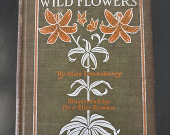 Vintage Flower Rose Gardening Botany Book 1897 How to Know the ...