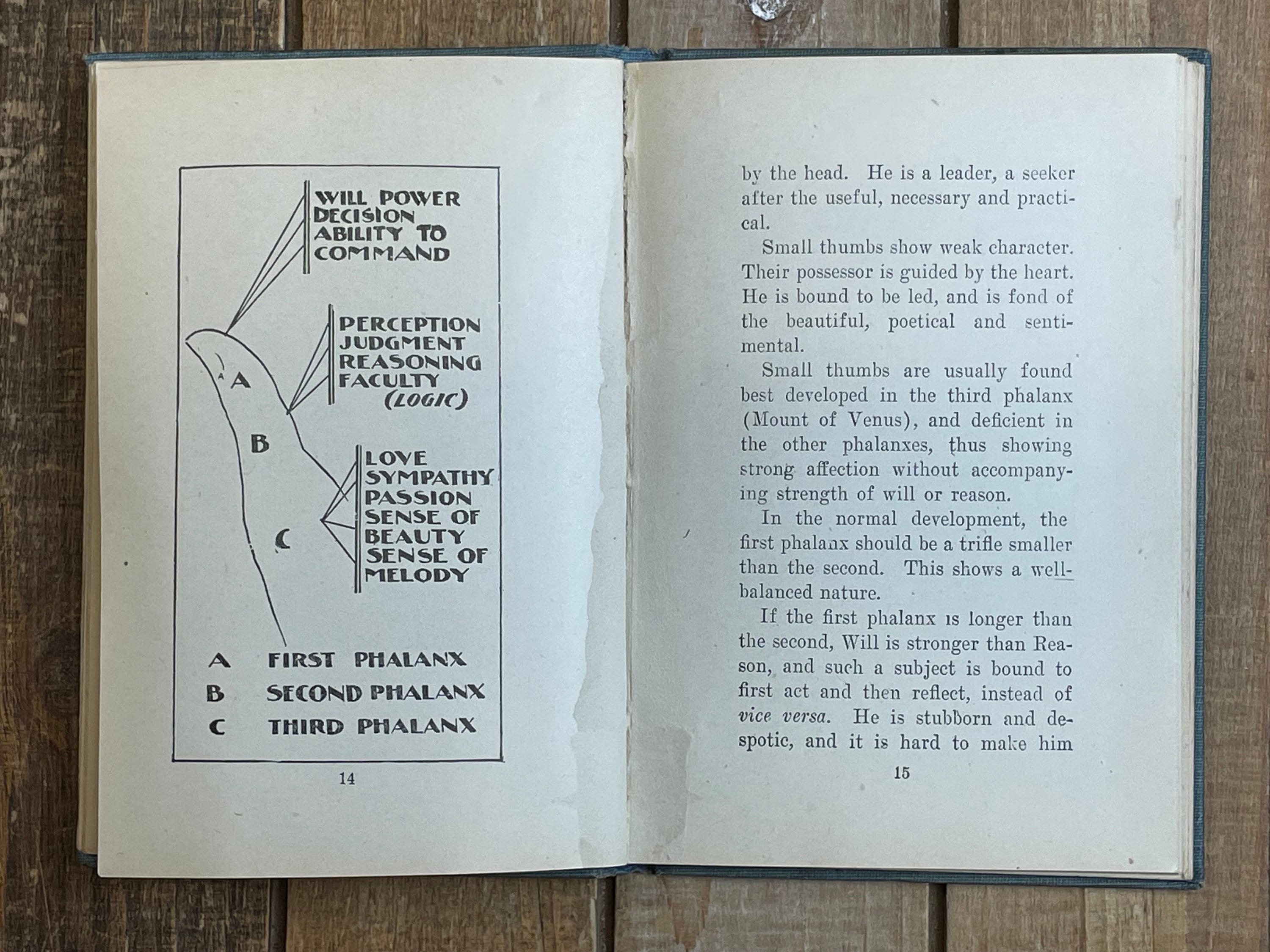 Vintage Palmistry Book A Method of Cheirognomy Vintage Palm Reading ...