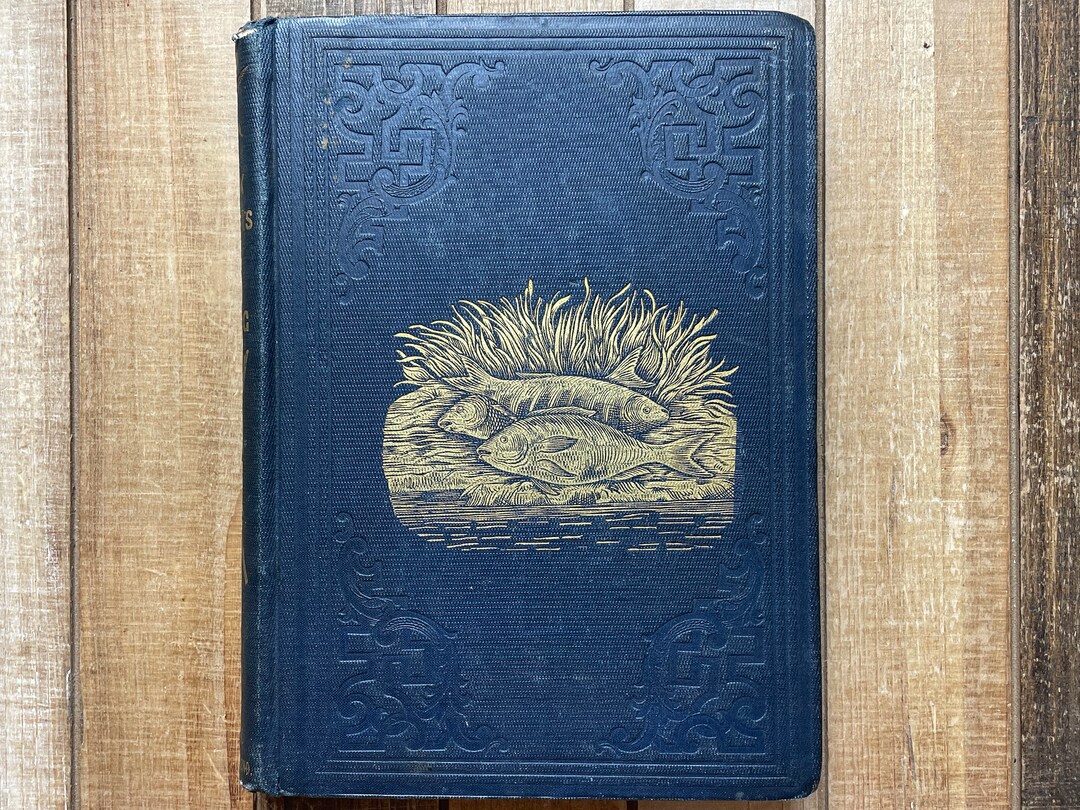 Victorian Fishing Book Bass Trout Salmon 1850s Frank Foresters Fish and ...