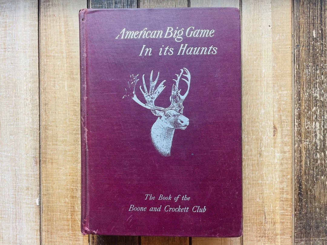 Vintage Deer Hunting Shooting Wildlife Book 1904 American Game and Its ...