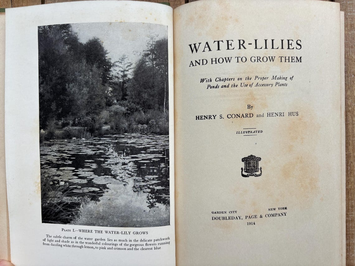 Vintage Gardening Book on Water Lilies and How to Grow Them From 1914 ...