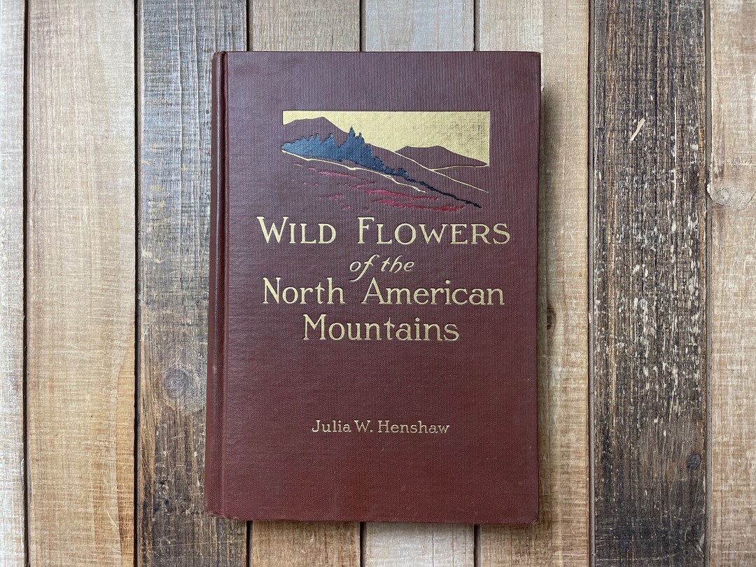 Vintage Wildflower Herbal Flowers Rocky Mountain Colorado Book of 1917 ...