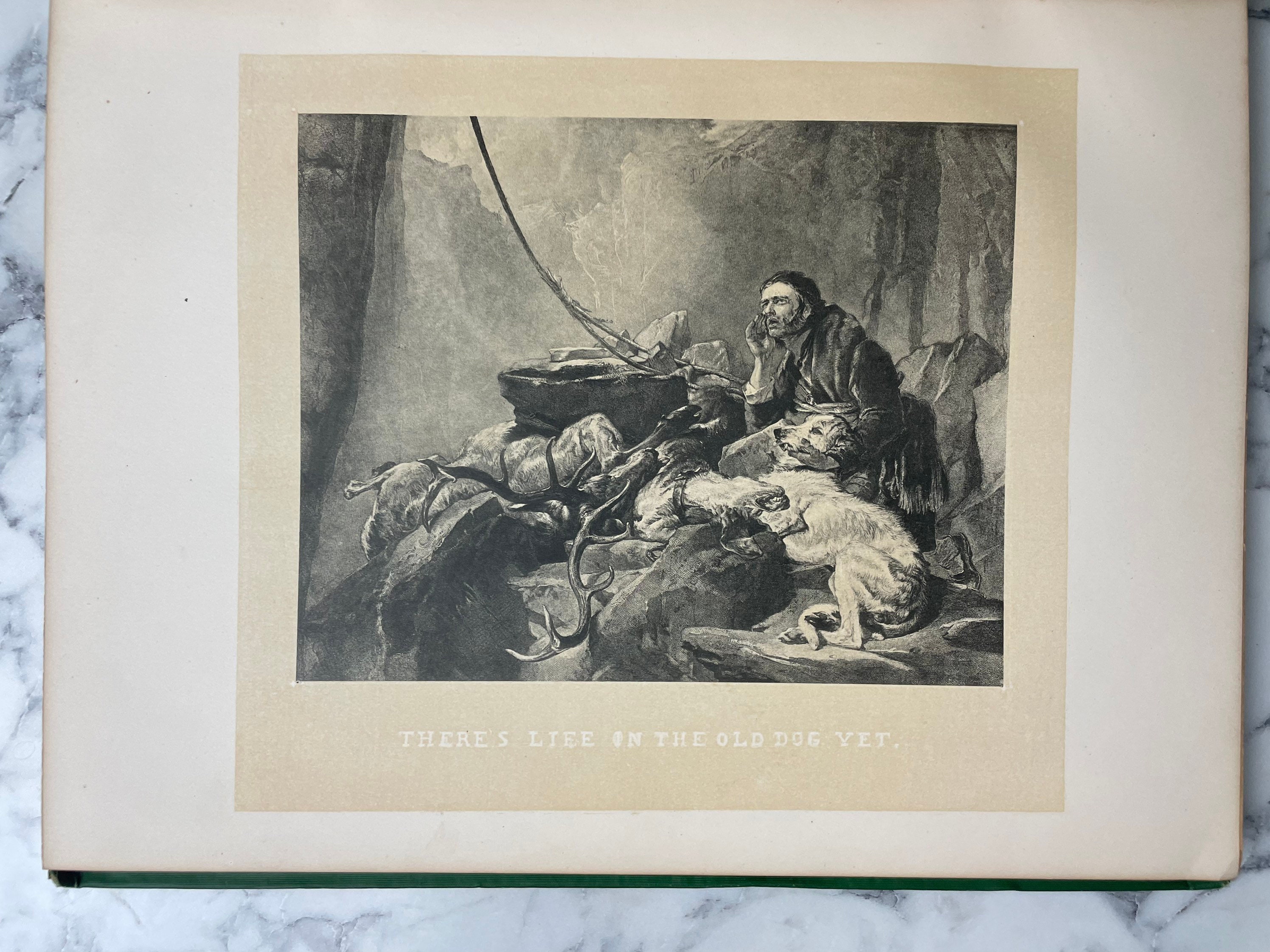 Vintage Deer Book Engravings From Landseer A Sketch of the Life and ...