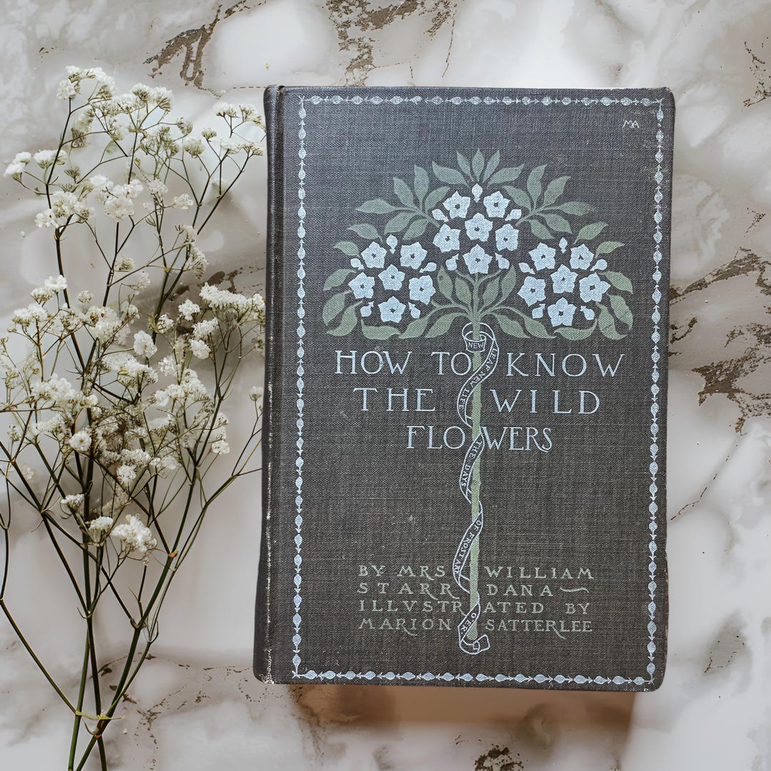Vintage Flower Rose Gardening Botany Book 1897 How to Know the ...