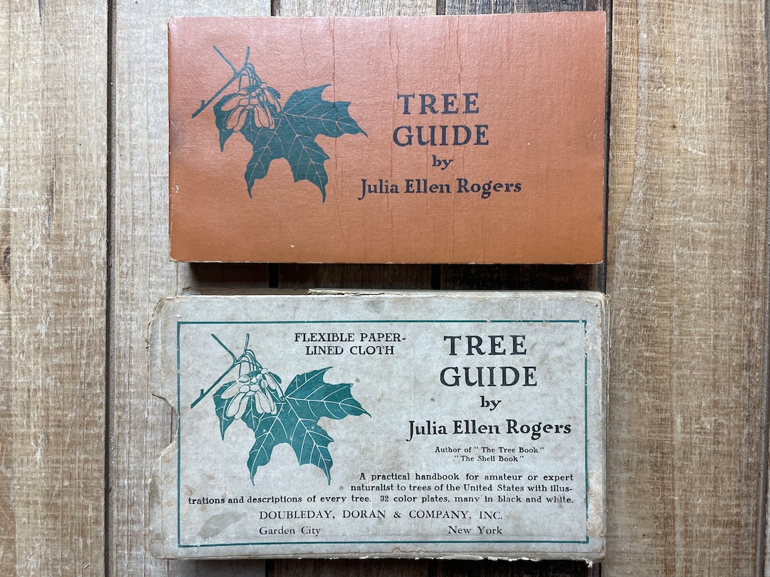 Vintage Tree Guidebook and Field Book of American Trees and Shrubs 1929 ...