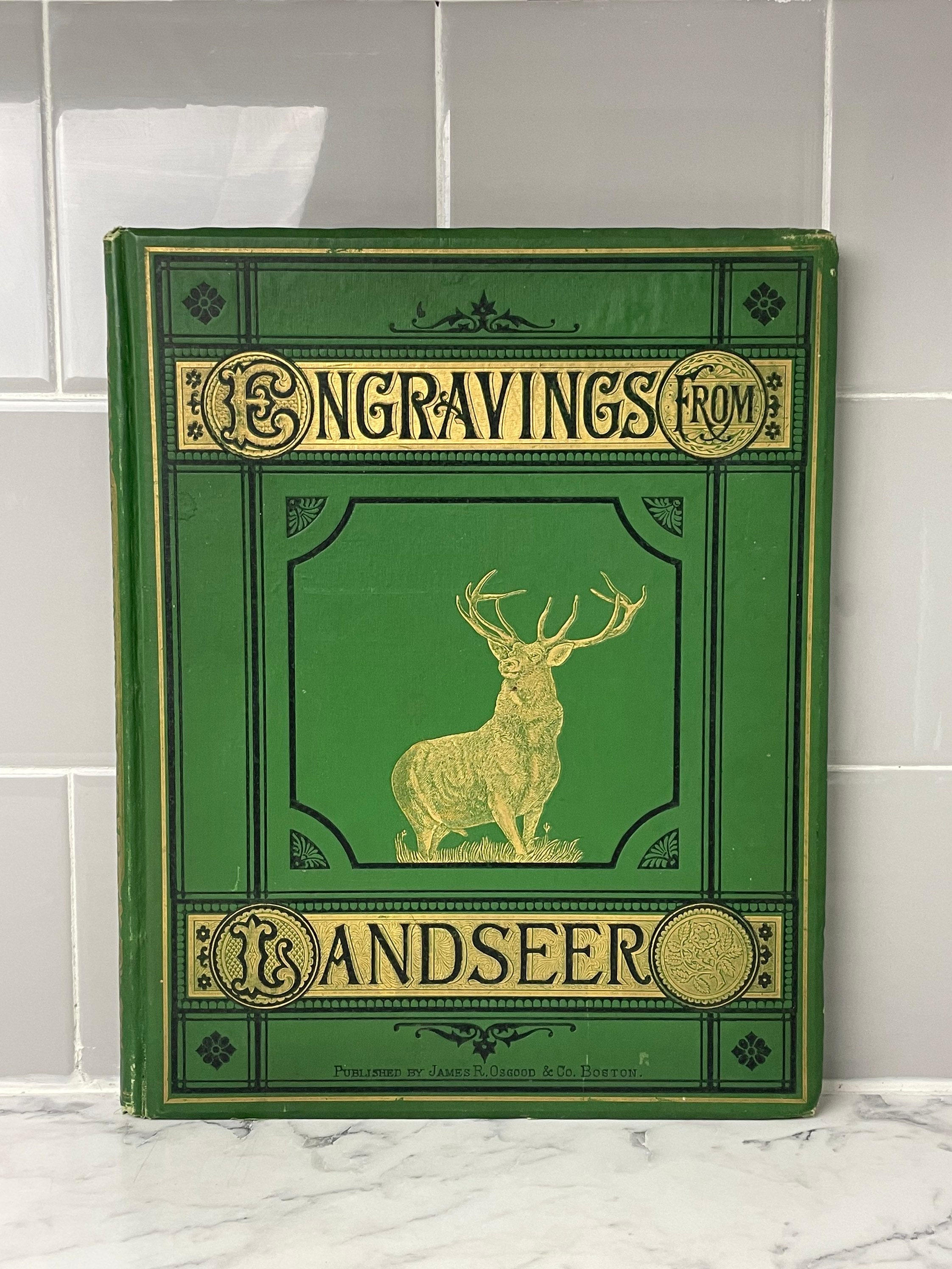 Vintage Deer Book Engravings From Landseer A Sketch of the Life and ...