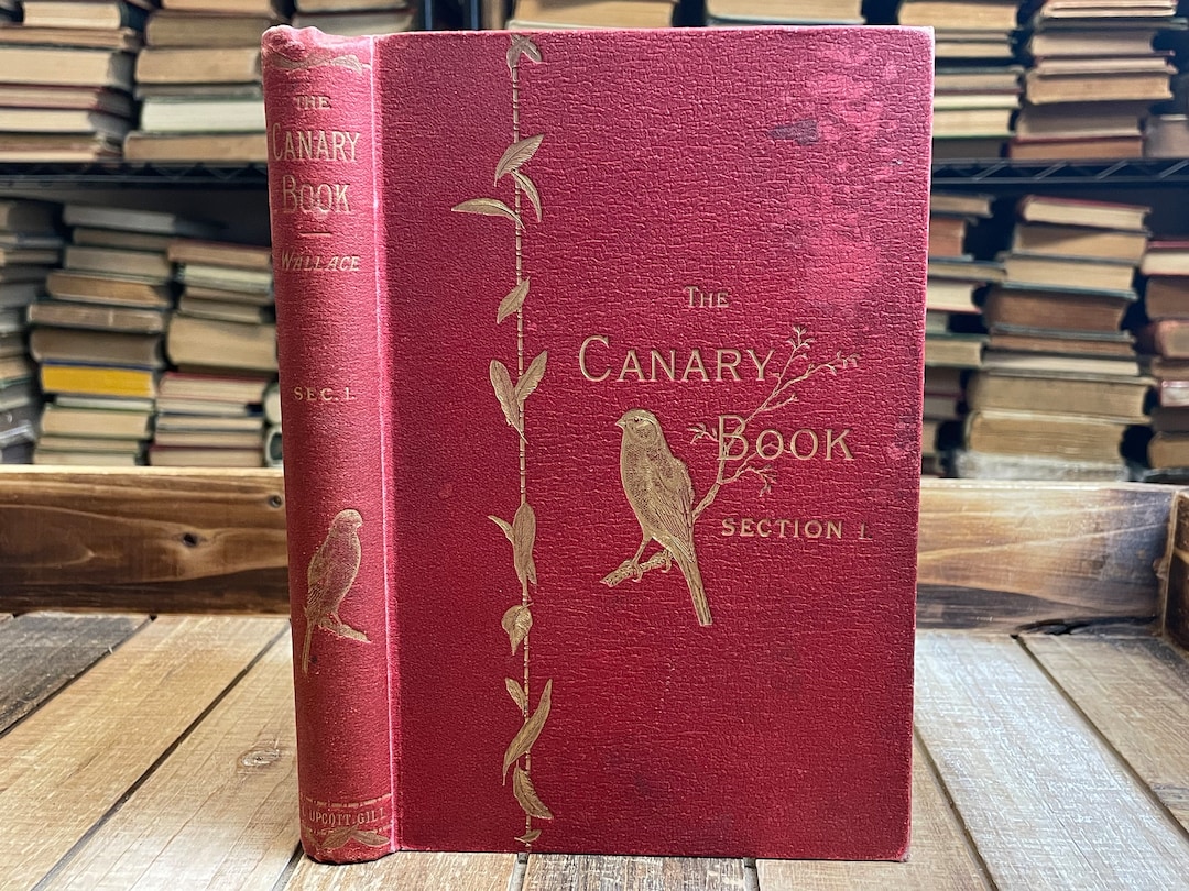 1893 Vintage the Canary Book * How to Breed Raise Build Cages - Etsy