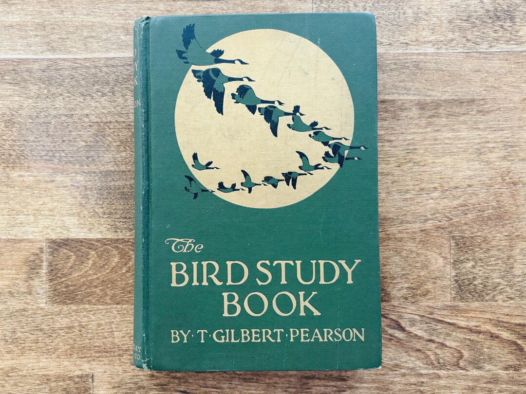 Rare 1917 Vintage Bird Guide Perfect for Bird Watchers Bird Guide Book ...