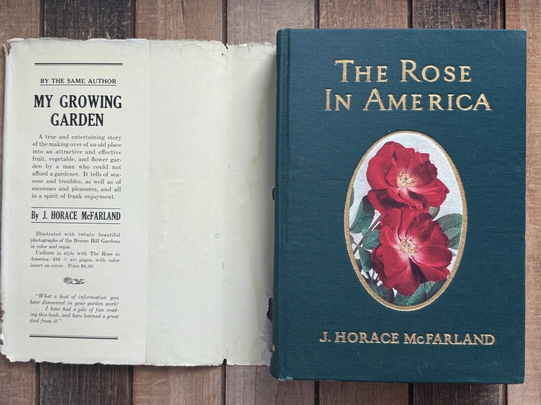 Vintage Rose Book How to Grow Roses 1926 the Rose in America Hardcover ...