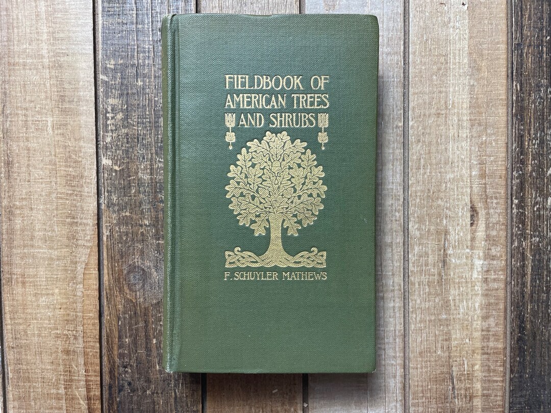 Vintage Tree Guidebook and Field Book of American Trees and Shrubs ~ Spring Summer Antiquarian ...
