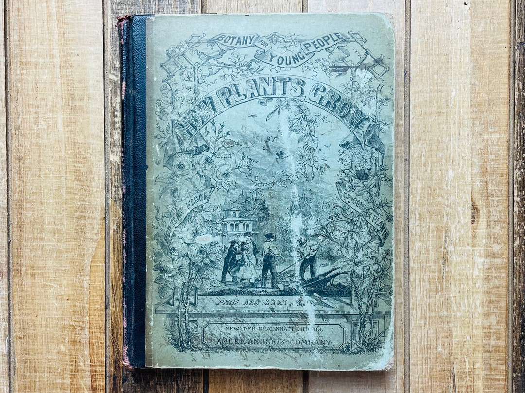 Vintage Flower Botany Book How to Grow Flowers and Trees 1856 How ...