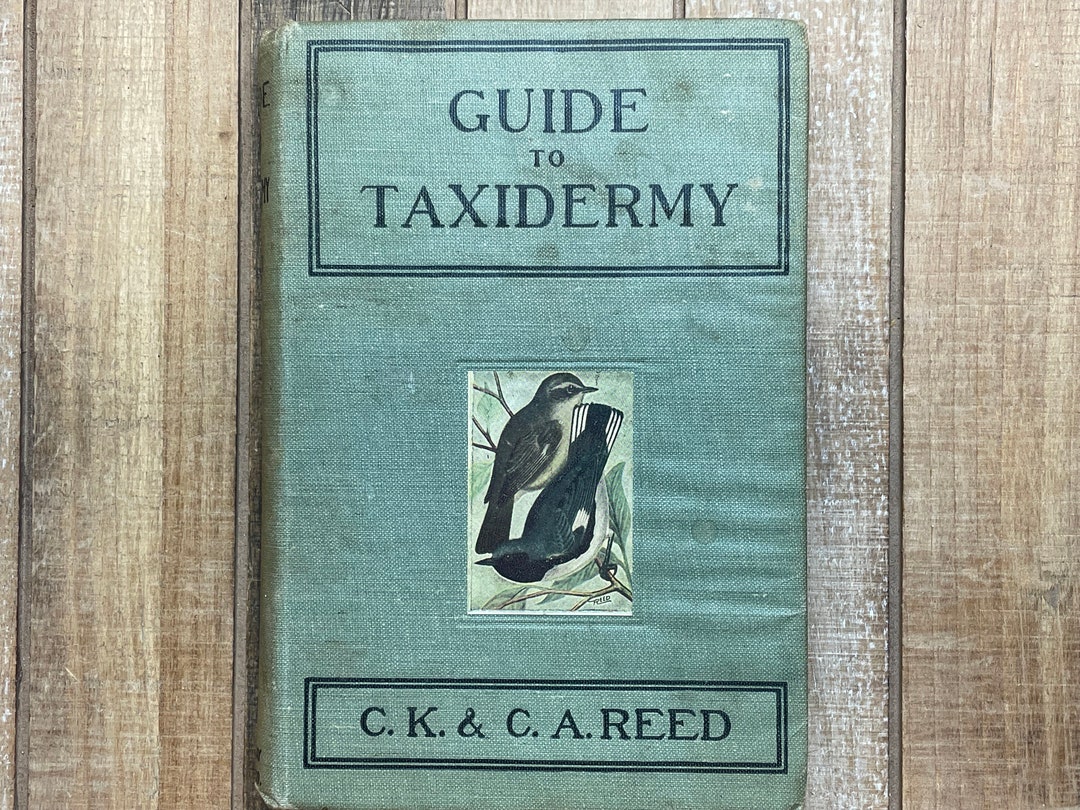 Vintage Victorian Taxidermy Hunting Book Gift for Him 1914 Guide to ...