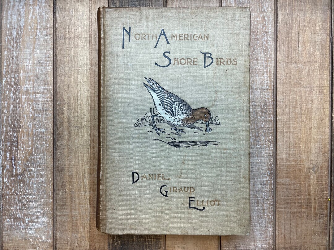 Vintage Florida Bird Ocean Birds Ornithologist Bird Watcher Watching ...