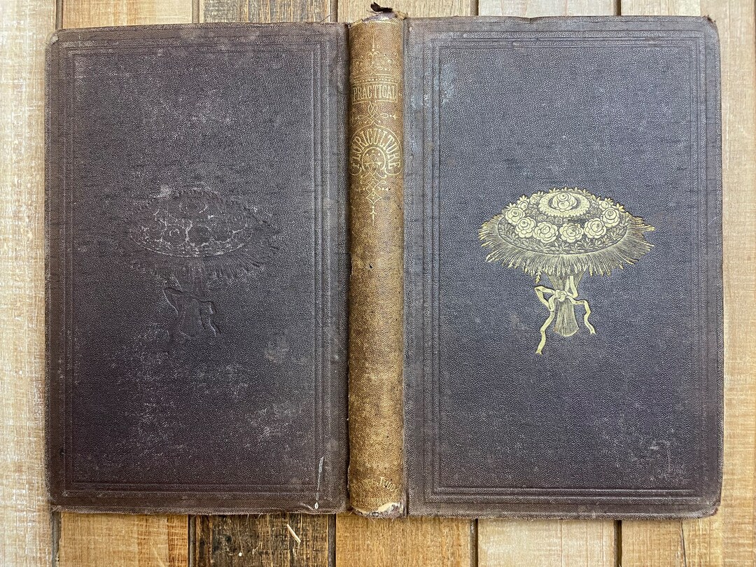 1869 Practical Floriculture A Guide for Florists Plants Vintage ...