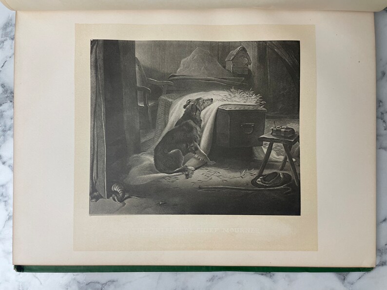 Vintage Deer Book Engravings From Landseer A Sketch of the Life and ...