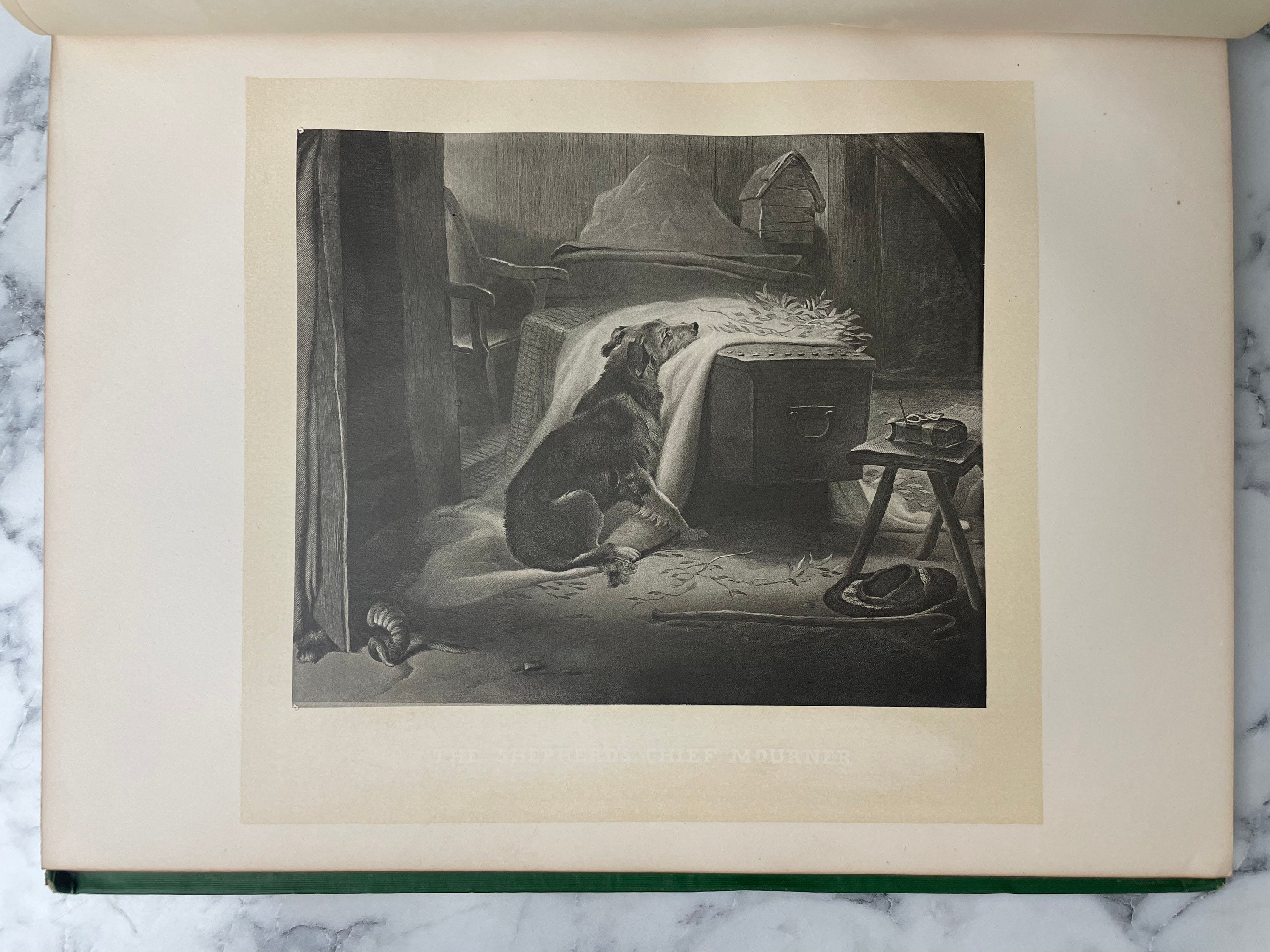 Vintage Deer Book Engravings From Landseer A Sketch of the Life and ...